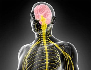 Nerve Conduction Studies (NCS) and Electromyography (EMG) - FV Hospital